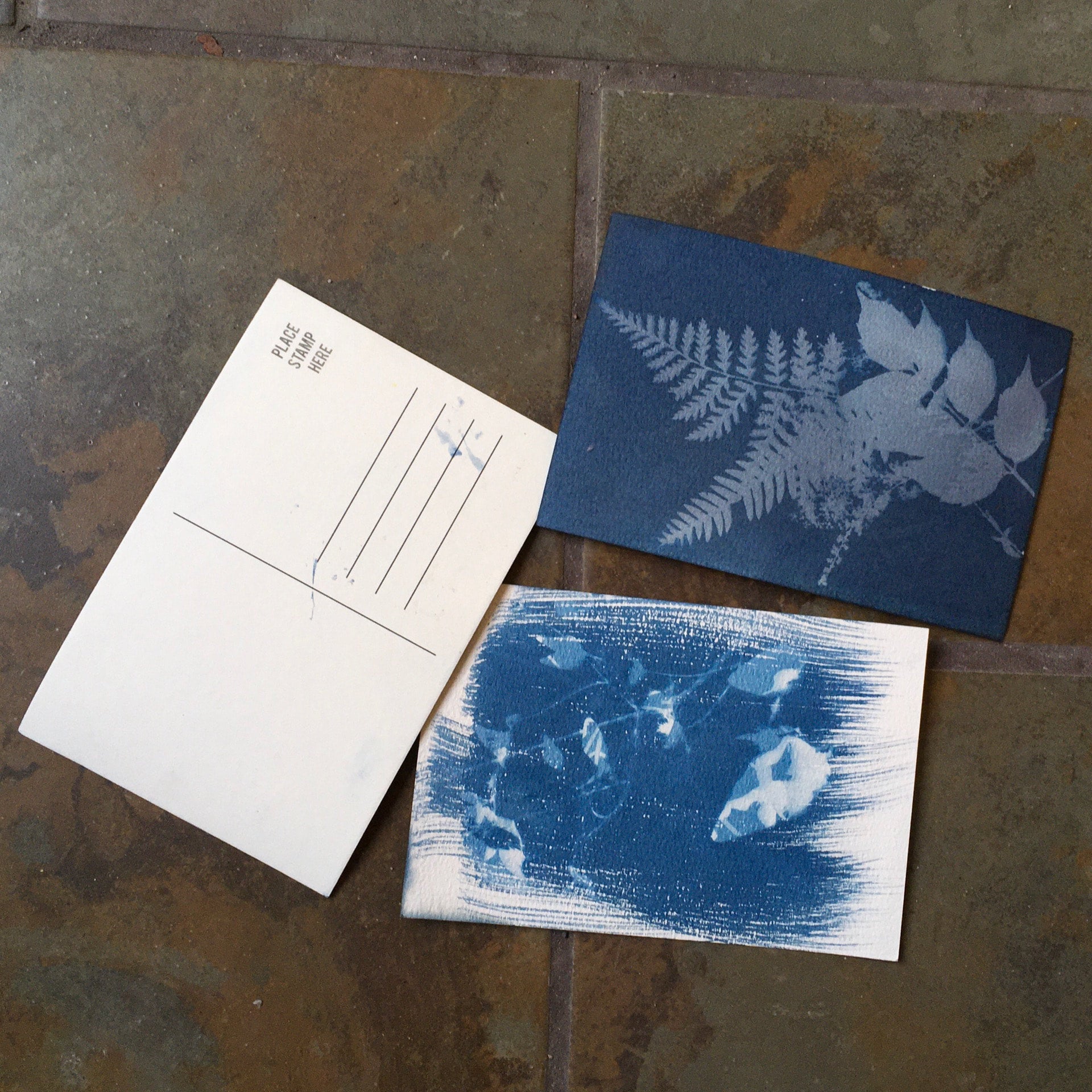 Cyanotype postcard | Gemini Handmade